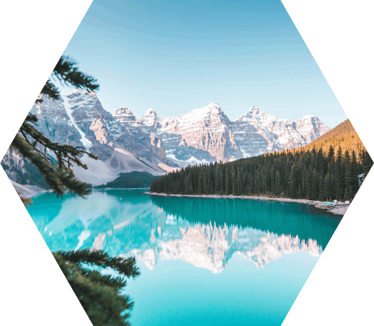 PETREX New Products - PETREX, Inc.