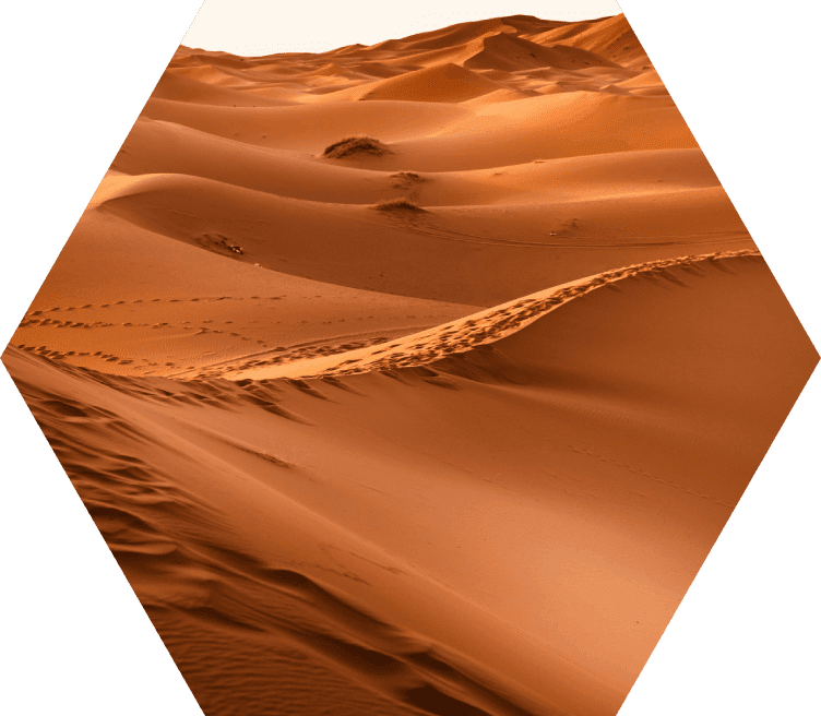 PETREX Career Opportunities - PETREX, Inc.